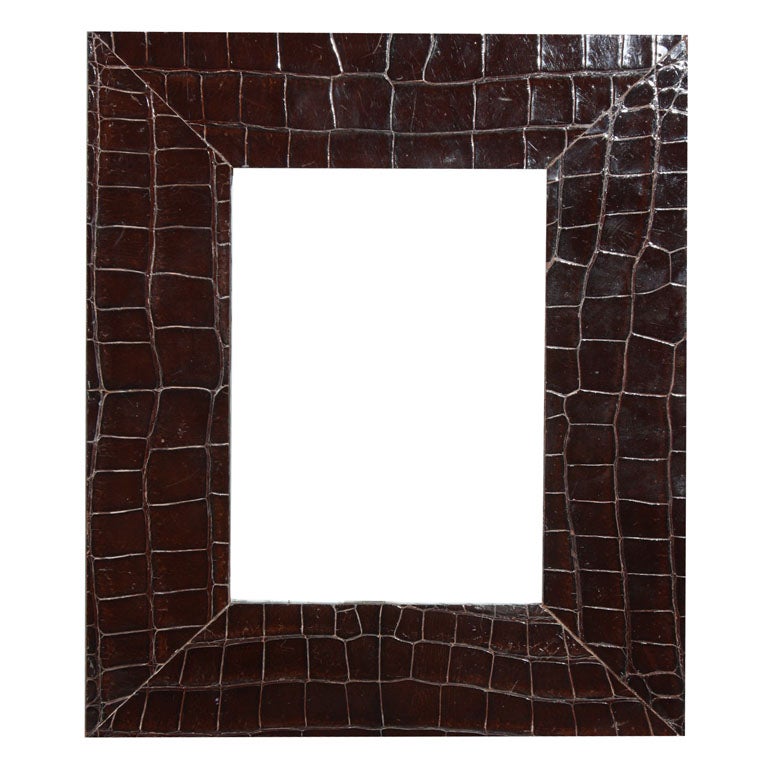 Brown Alligator Frame For Sale at 1stDibs