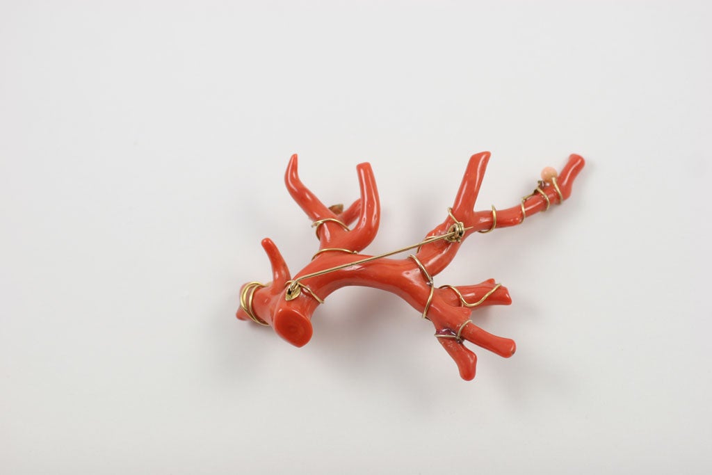 Magnificent Red Branch Coral Brooch at 1stDibs