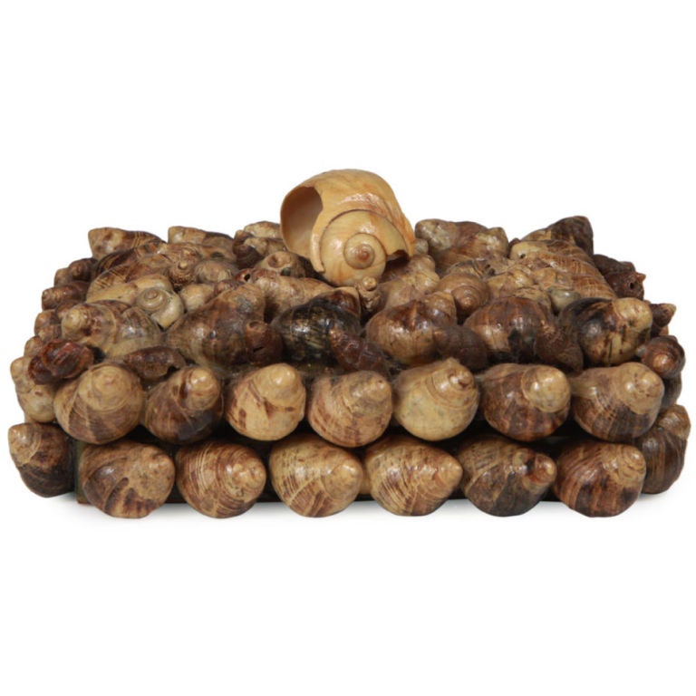 Snail Shell Encrusted Jewelry Box For Sale at 1stDibs