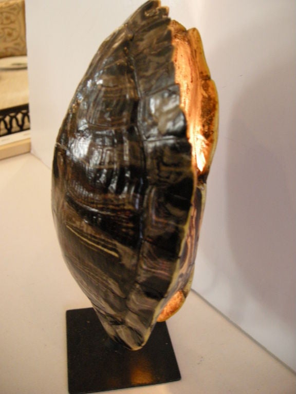 Pair, Turtle Shell Lamps on Stands at 1stDibs