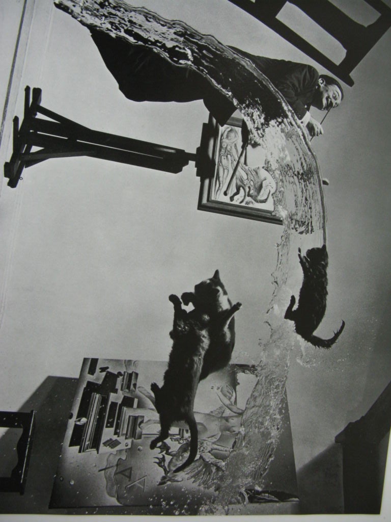 Dali Atomicus by Philippe Halsman at 1stDibs | dali atomicus poster ...