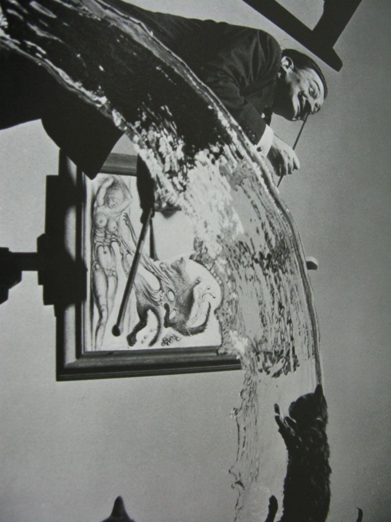 Dali Atomicus by Philippe Halsman at 1stDibs | dali atomicus poster ...