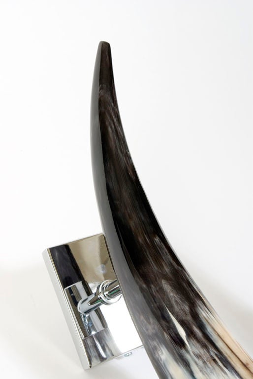 Pair of Horn Wall Sconces with Cream Shade at 1stDibs | horn sconces