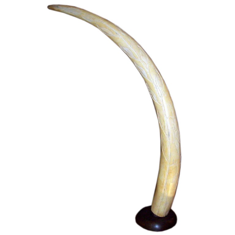 AFRICAN IVORY TUSK at 1stDibs
