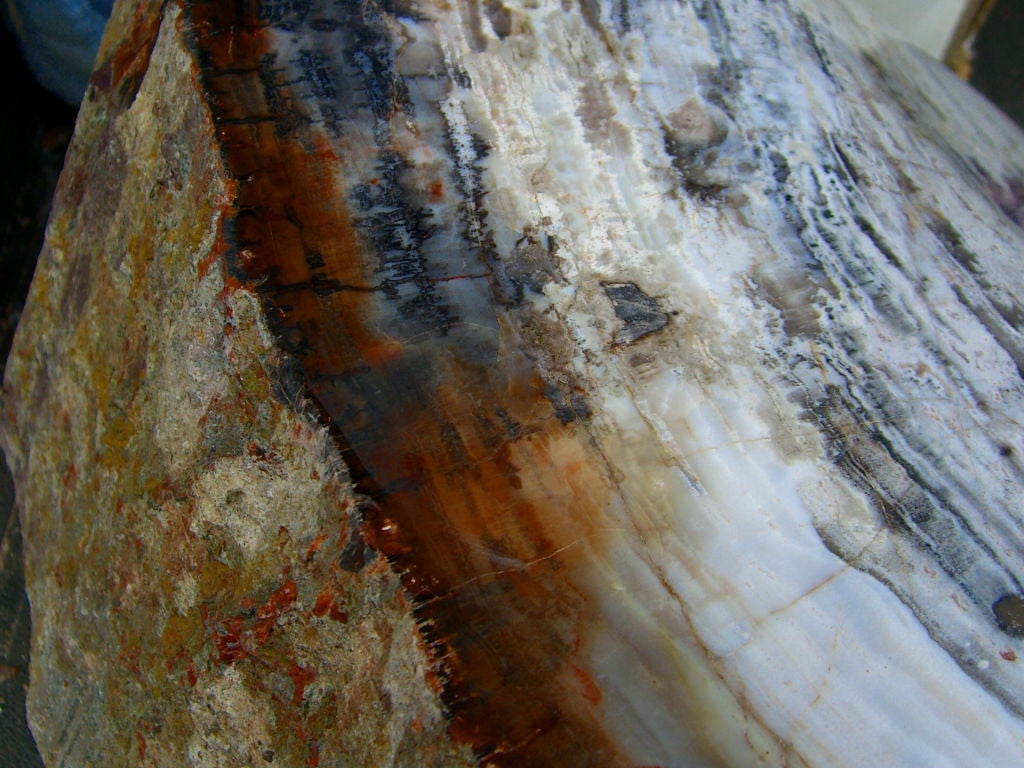 Large specimen polished Petrified wood boulder w/ amethyst vein at 1stDibs