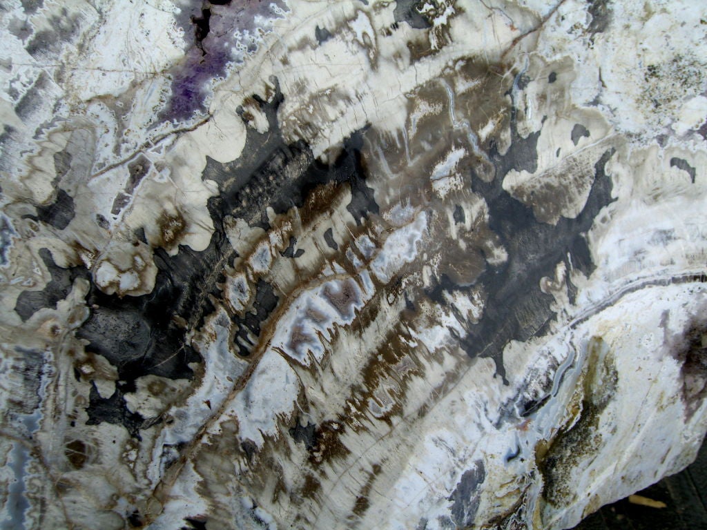Large specimen polished Petrified wood boulder w/ amethyst vein at 1stDibs