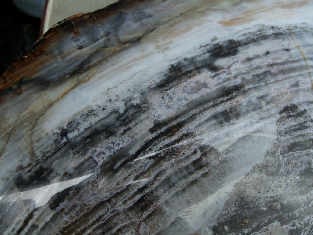 Large specimen polished Petrified wood boulder w/ amethyst vein at 1stDibs