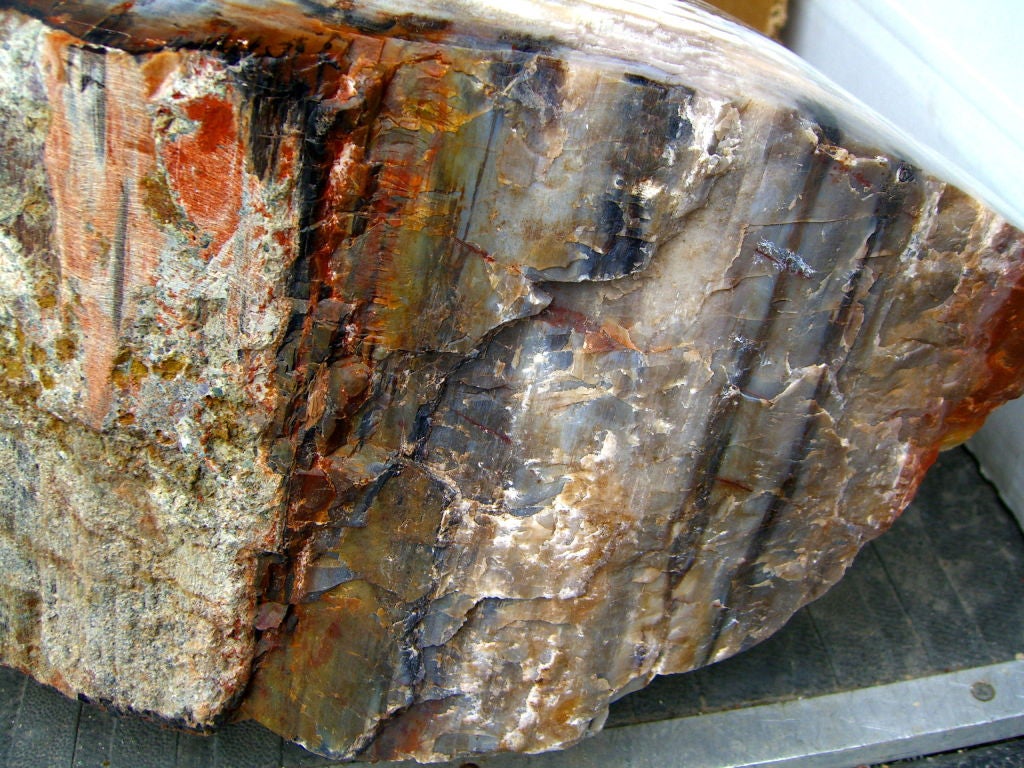 Large specimen polished Petrified wood boulder w/ amethyst vein at 1stDibs