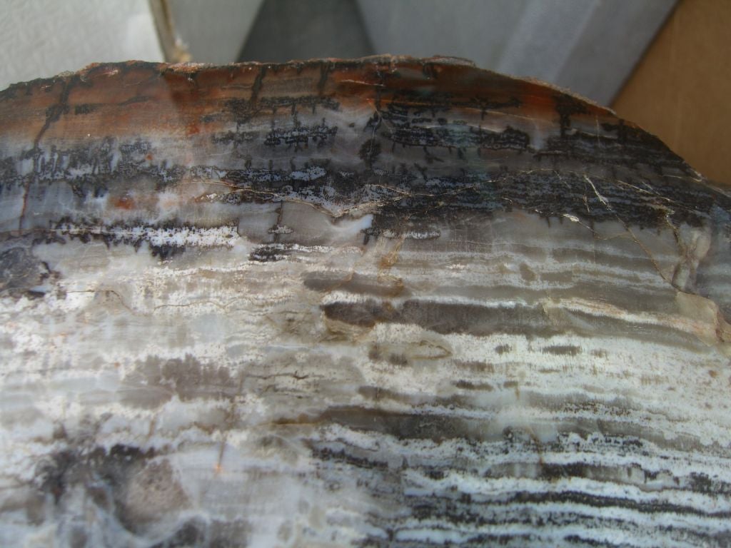 Large specimen polished Petrified wood boulder w/ amethyst vein at 1stDibs