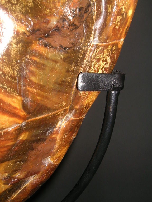 Large Vintage Tortoise Shell Mounted On Stand at 1stdibs