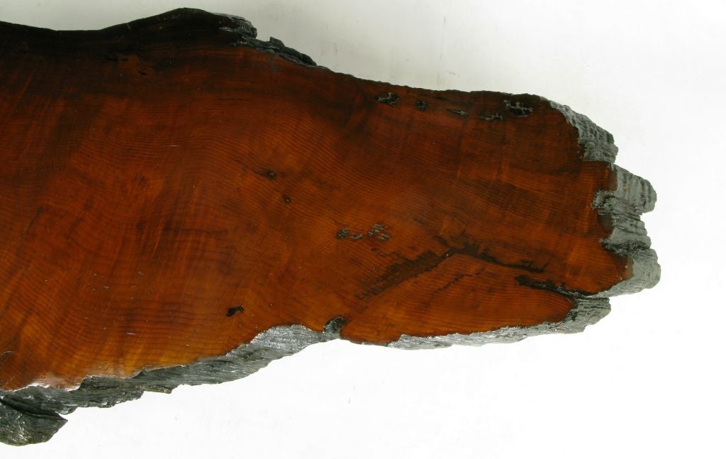 Massive Redwood Burled Root Coffee Table at 1stDibs