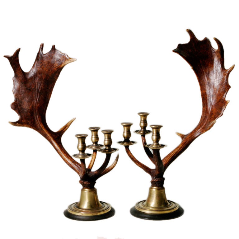 Pair of Antler Candlesticks at 1stDibs