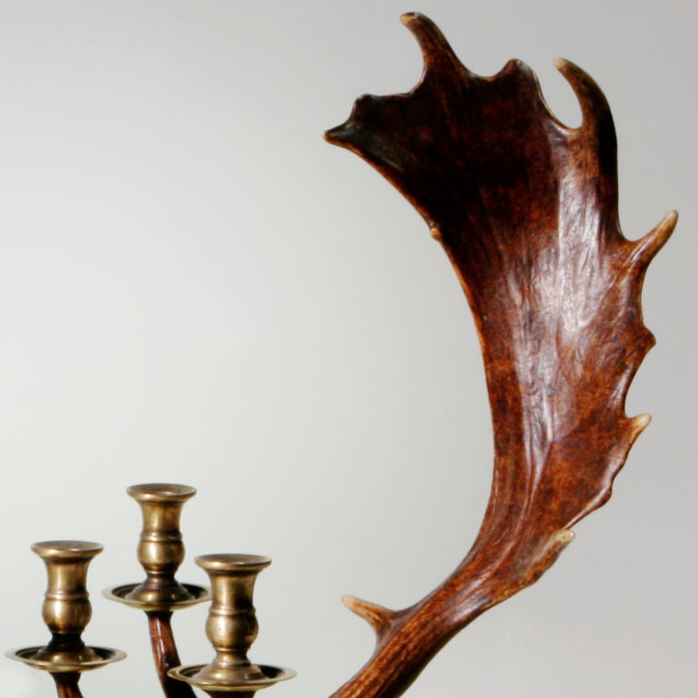 Pair of Antler Candlesticks at 1stDibs