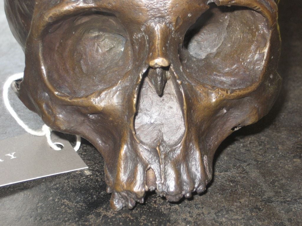 Cast Bronze Skull For Sale at 1stdibs