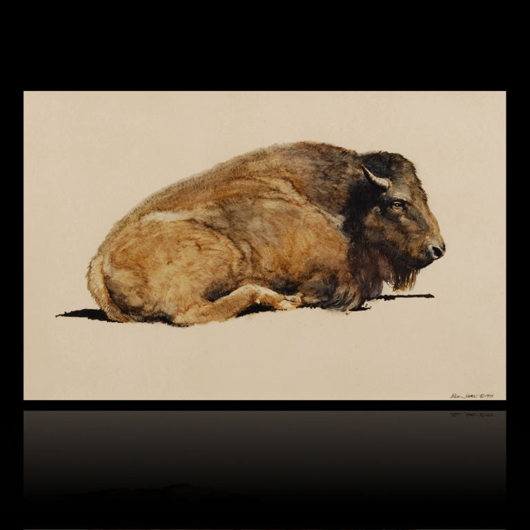 Collection of Original Buffalo Paintings signed by the Artist at 1stDibs