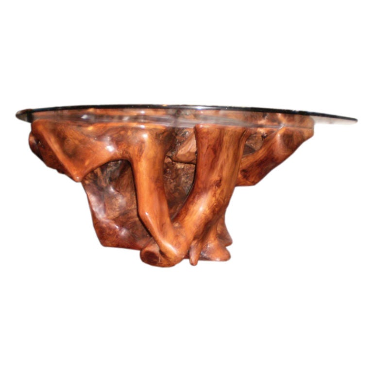 Polished Root Cocktail Table-Saturday Sale at 1stDibs