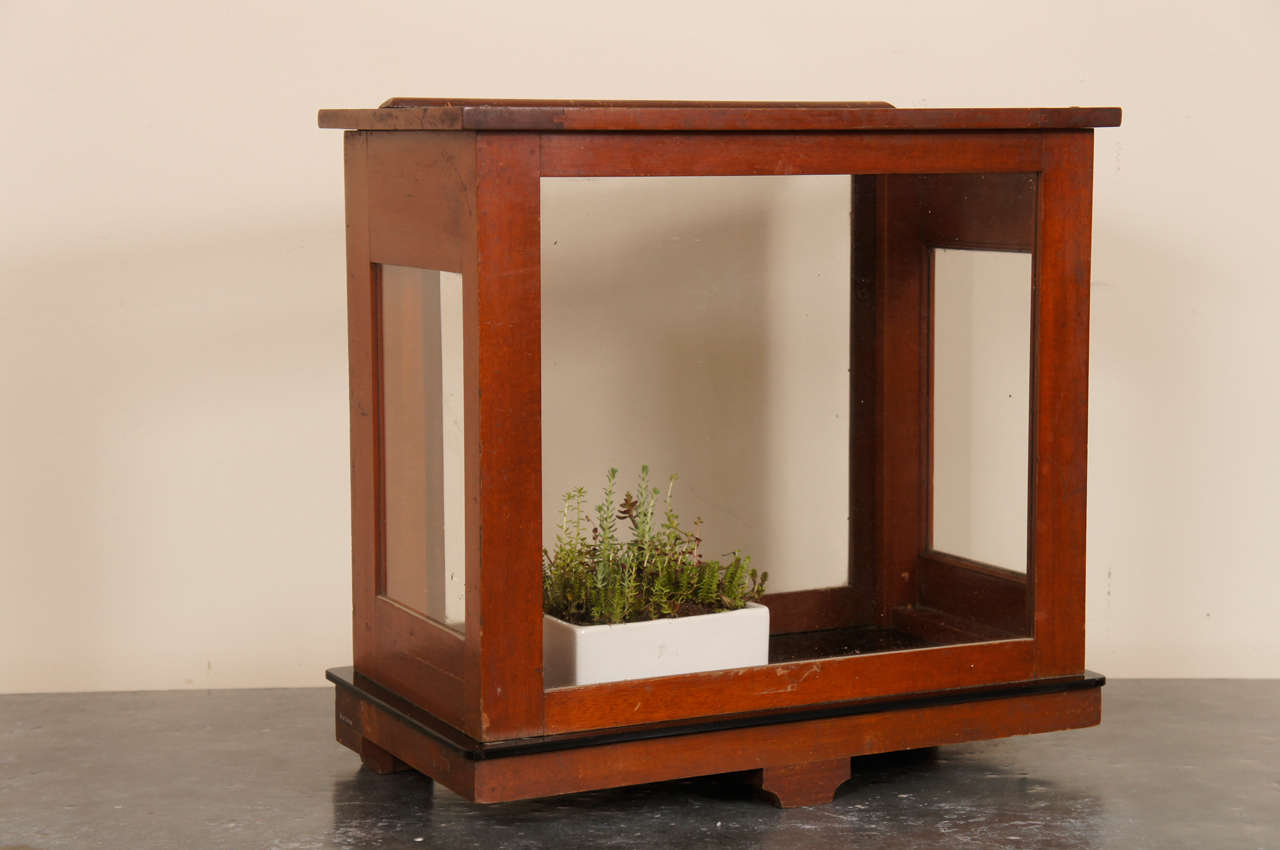 Scientific Display Case:Terrarium at 1stDibs | specimen case terrarium