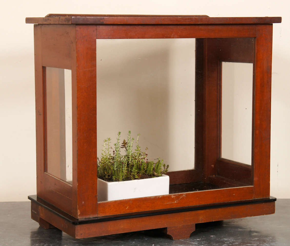 Scientific Display Case:Terrarium at 1stDibs | specimen case terrarium