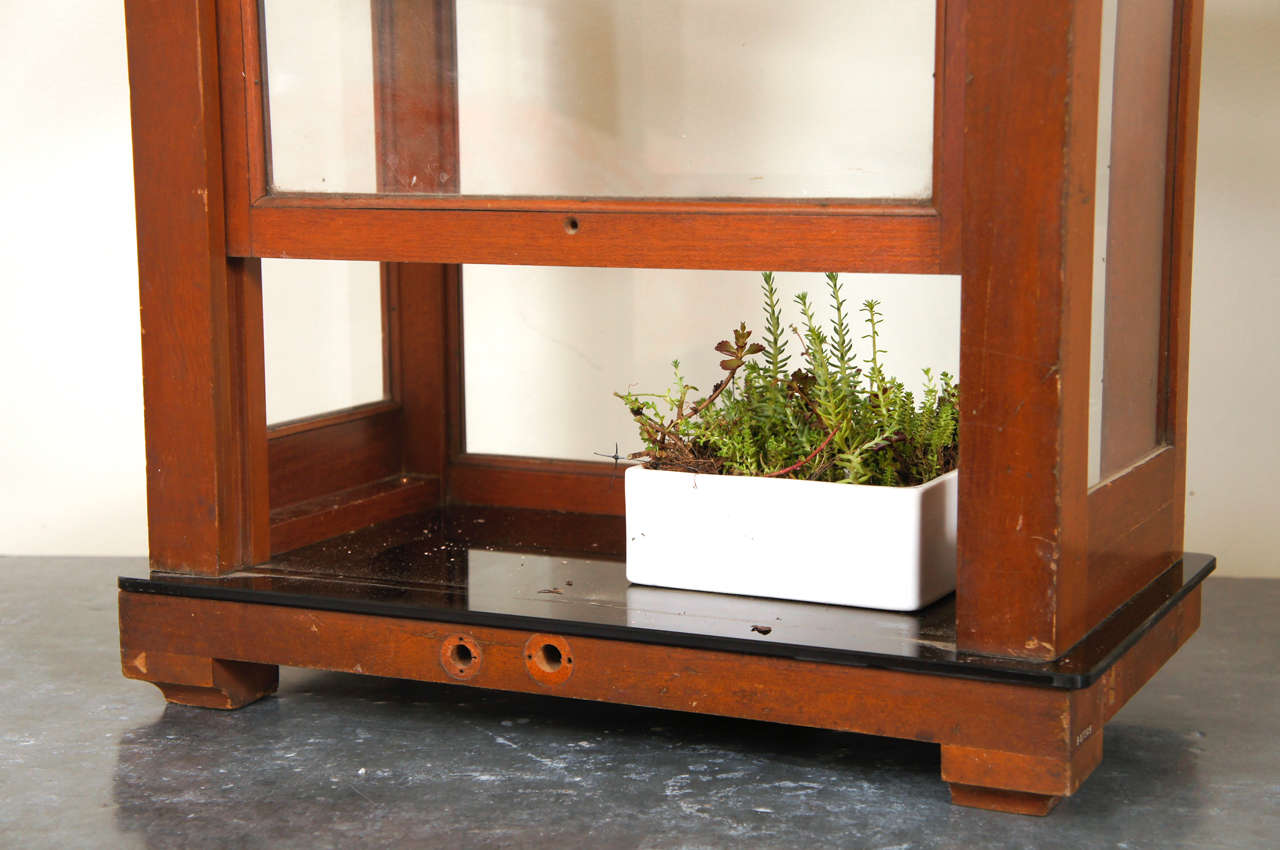 Scientific Display Case:Terrarium at 1stDibs | specimen case terrarium