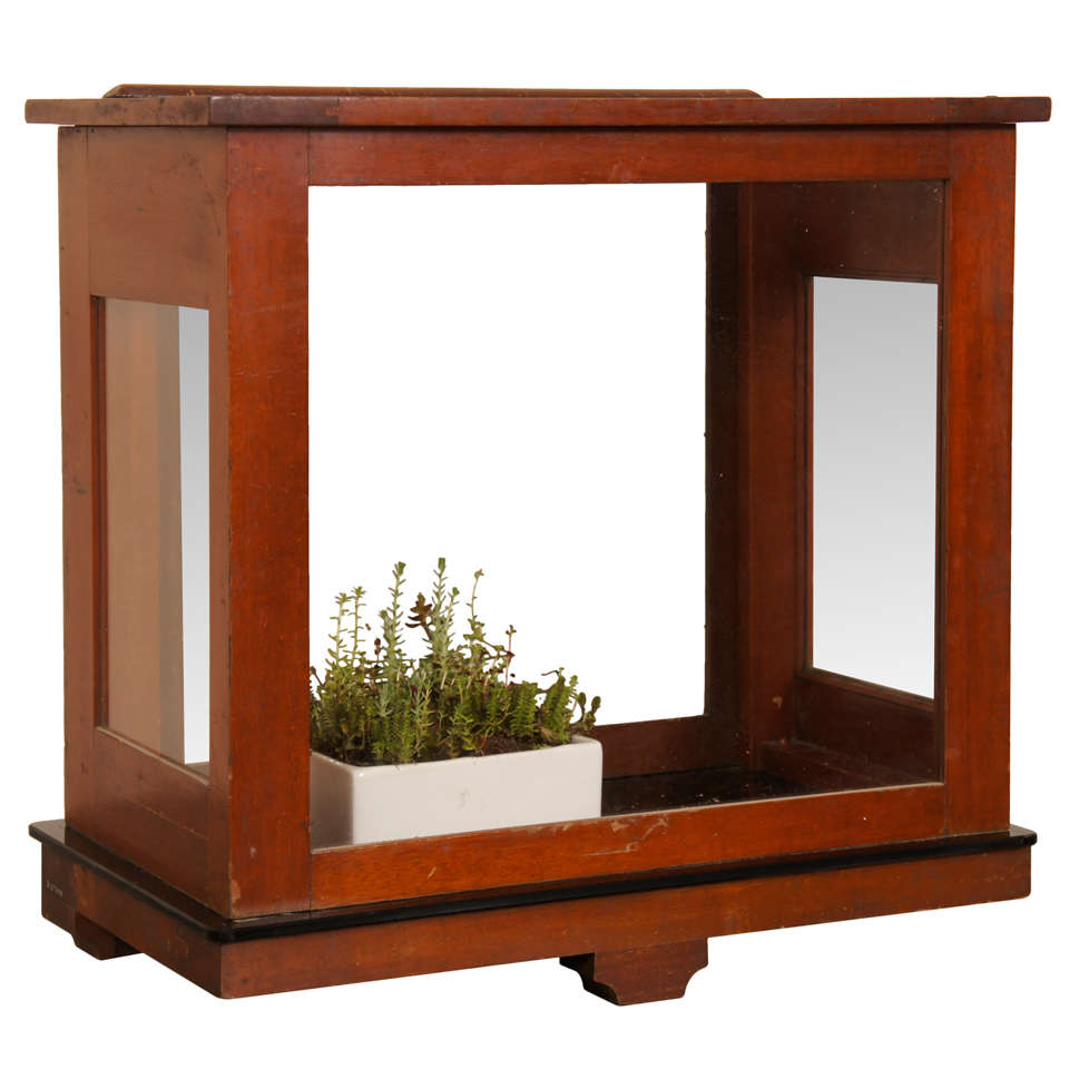 Scientific Display Case:Terrarium at 1stDibs | specimen case terrarium
