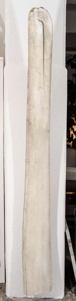 Monumental Wall-Mounted Whale Bone at 1stDibs