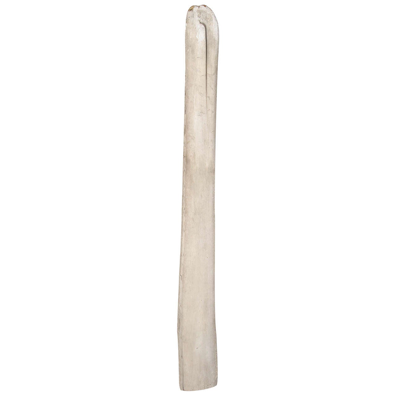 Monumental Wall-Mounted Whale Bone at 1stDibs