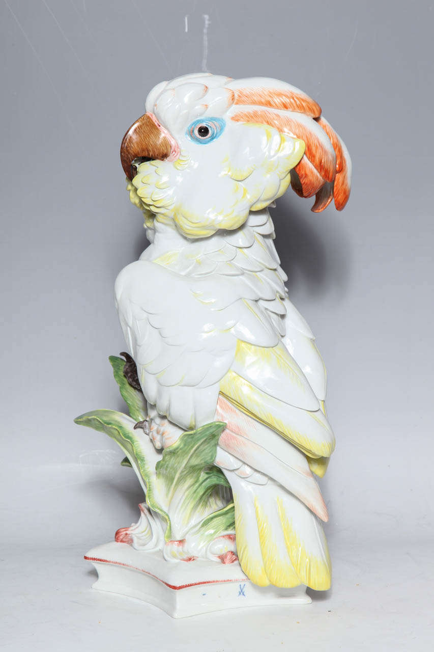 Large Meissen Porcelain Model of a Cockatoo at 1stDibs | porcelain cockatoo