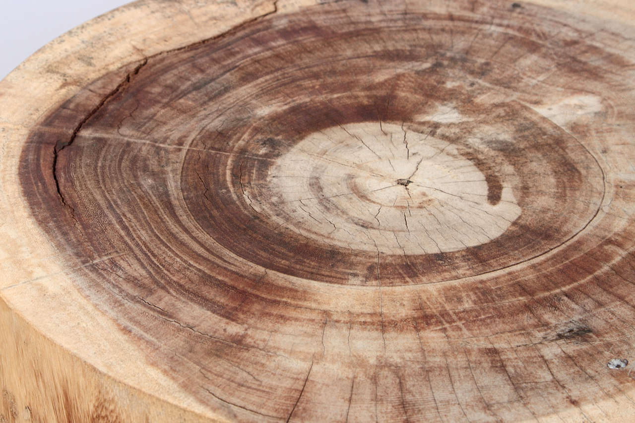 Organic Lychee Wood End Tables at 1stDibs