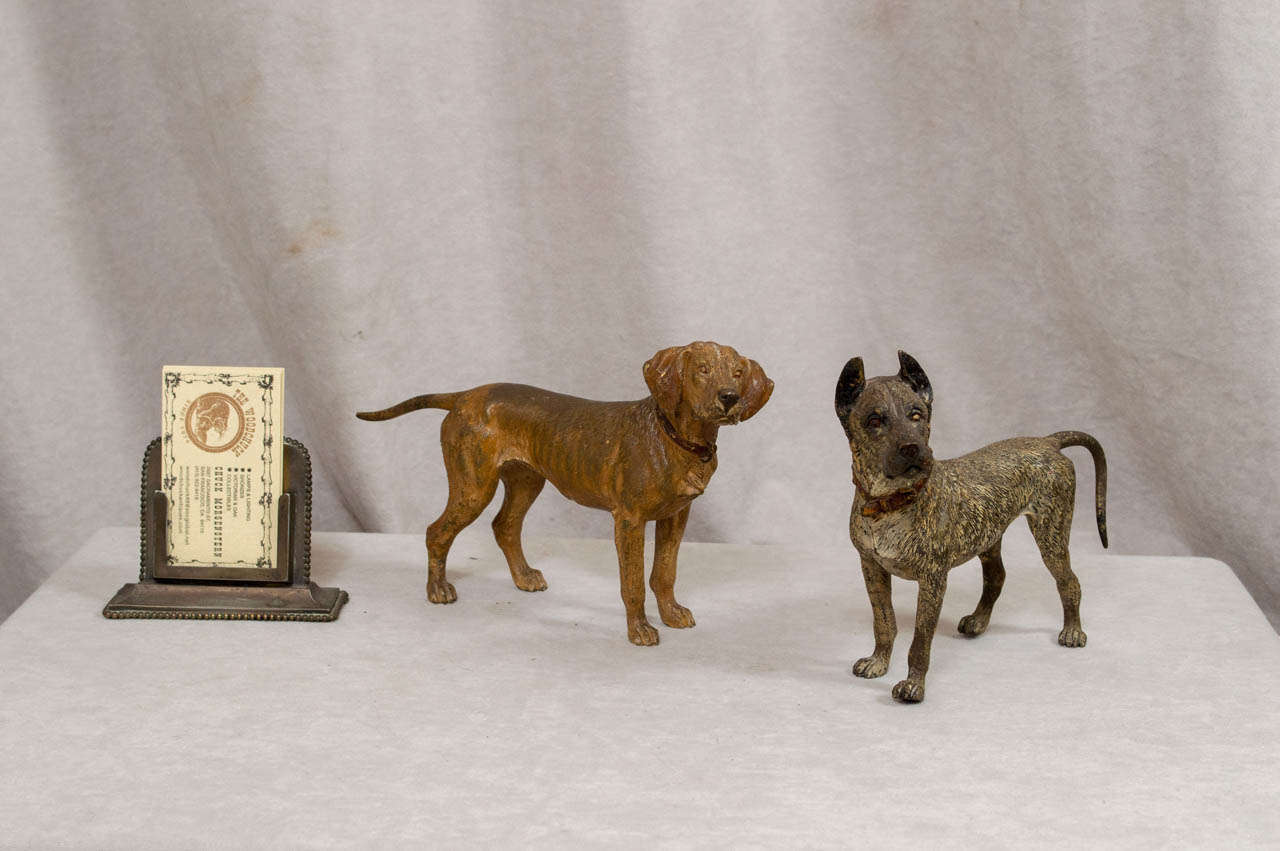 Two Large Cold Painted Vienna Bronze Dogs at 1stDibs