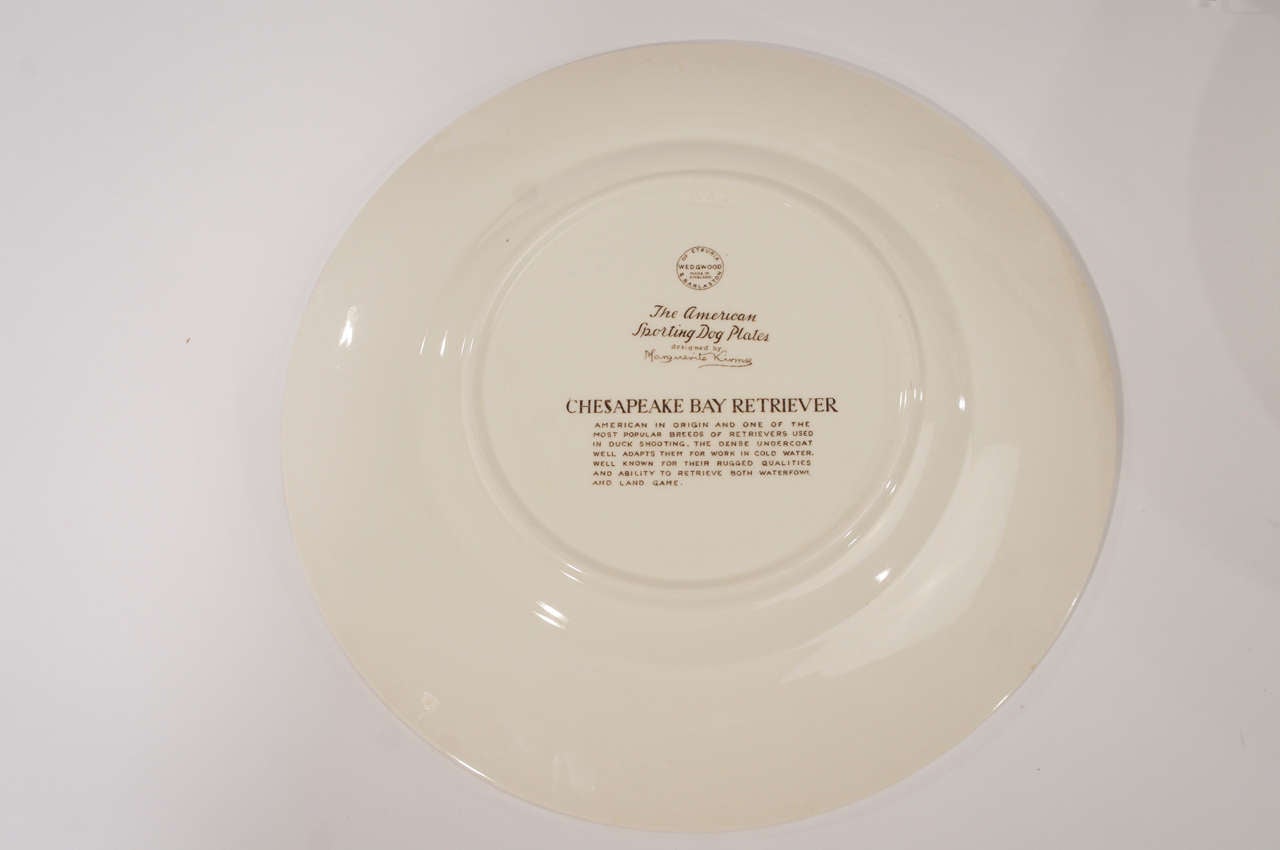 Set of 12 Wedgwood American Sporting Dog Plates- M.Kirmse at 1stDibs ...