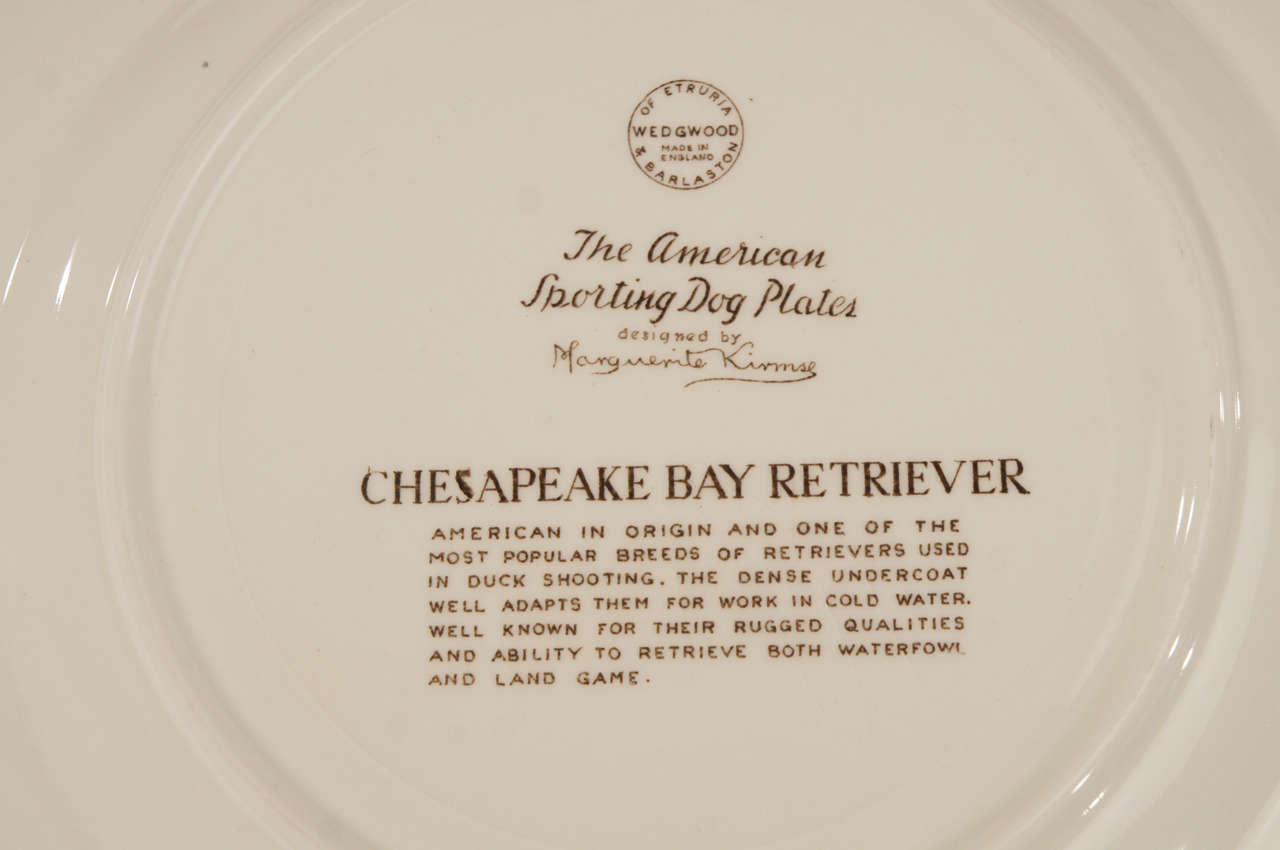Set of 12 Wedgwood American Sporting Dog Plates- M.Kirmse at 1stDibs ...