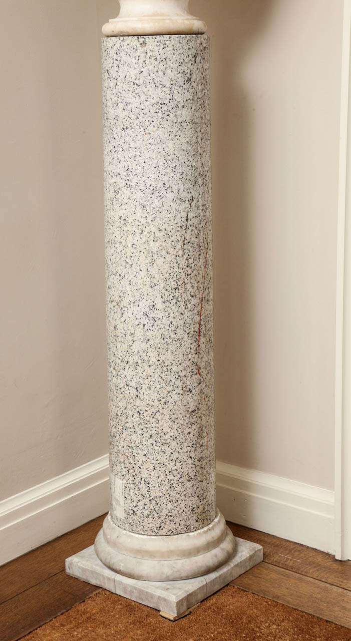 Granite Column on Marble Base For Sale at 1stDibs | granite columns for ...