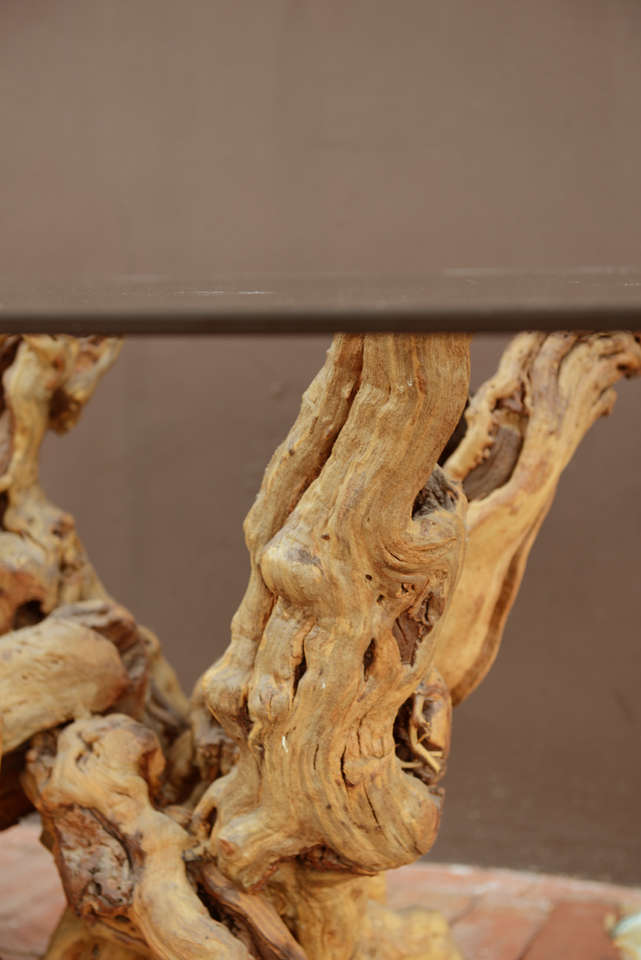 A Cypress Root Base Table at 1stDibs | cypress root table, root dining ...