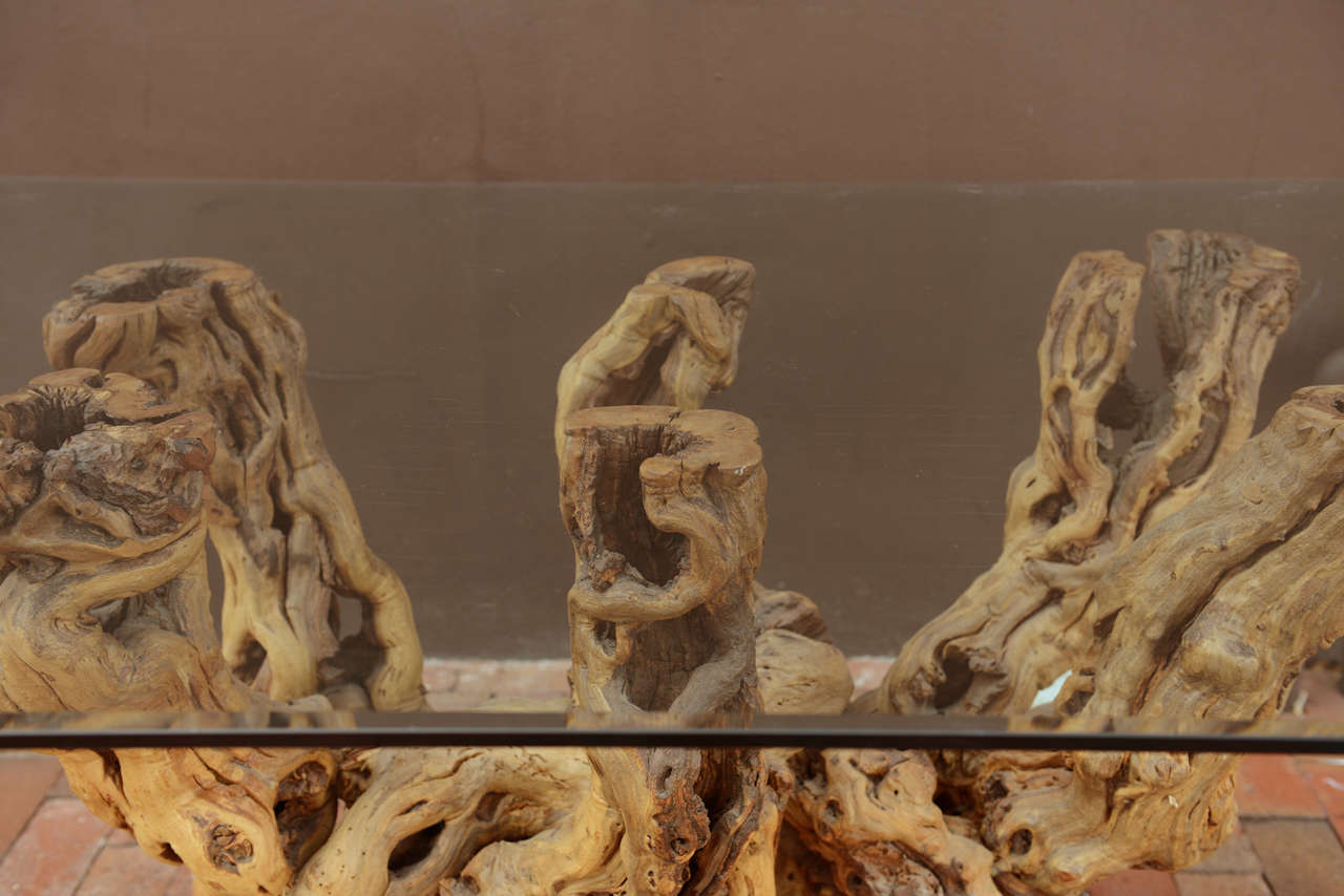 A Cypress Root Base Table at 1stDibs | cypress root table, root dining ...