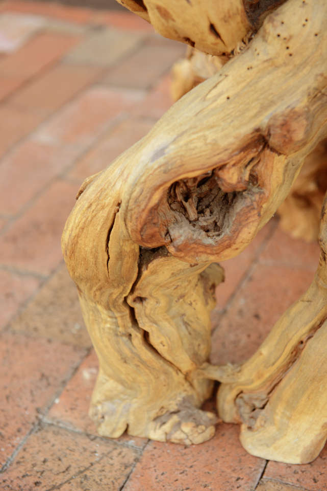 A Cypress Root Base Table at 1stDibs | cypress root table, root dining ...