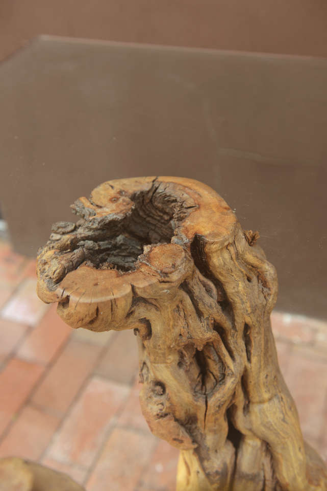 A Cypress Root Base Table at 1stDibs | cypress root table, root dining ...