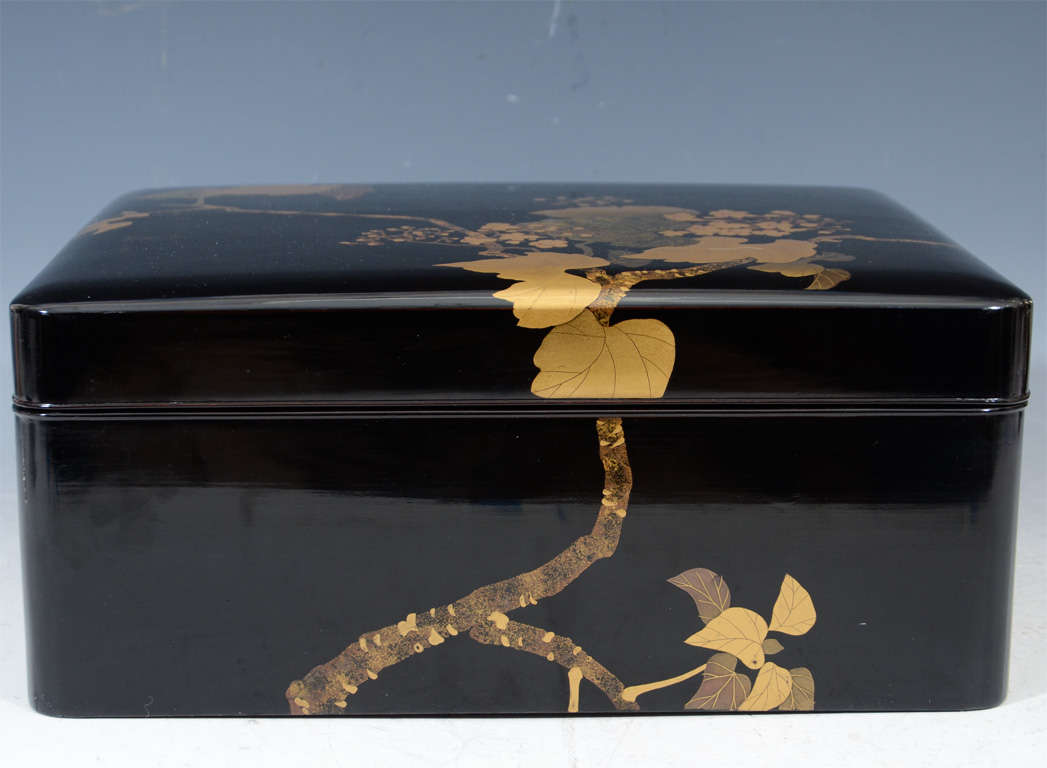 Antique Japanese Lacquer Black Box with Grapes For Sale at 1stDibs ...