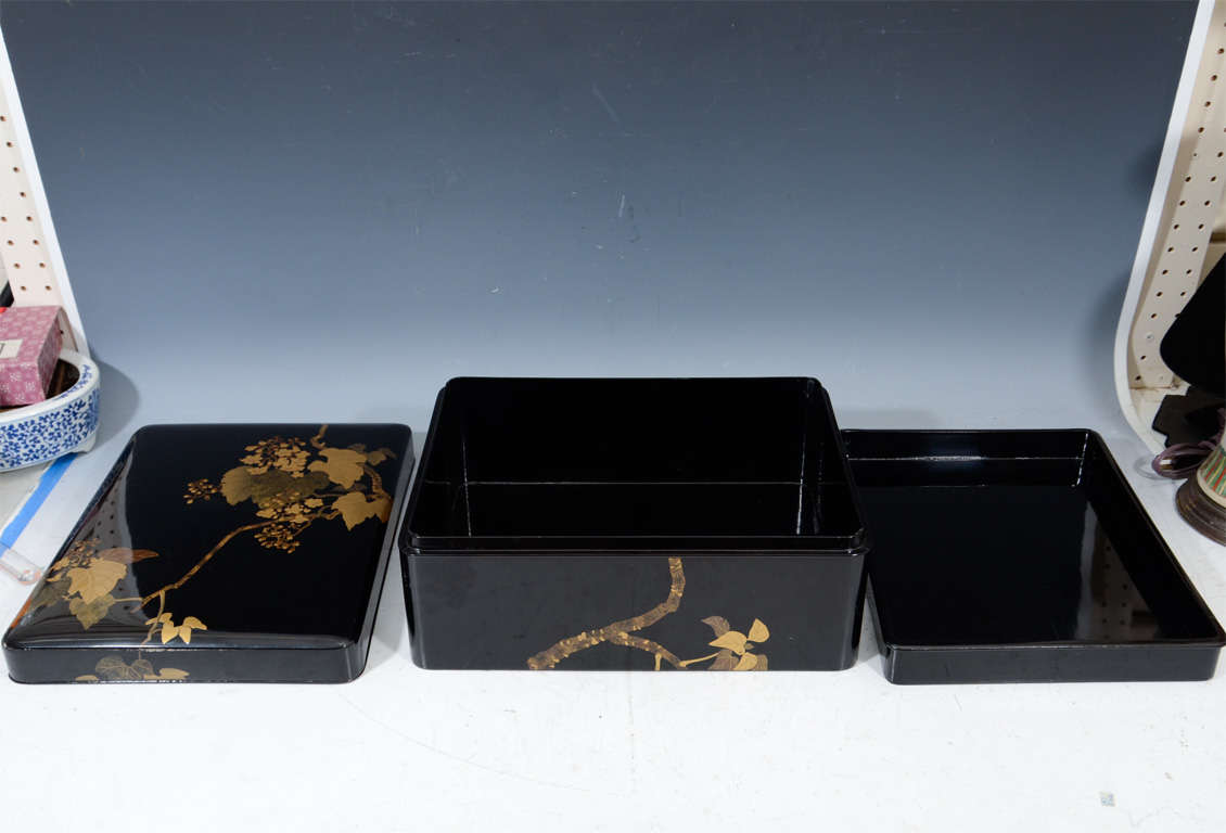 Antique Japanese Lacquer Black Box with Grapes For Sale at 1stDibs ...