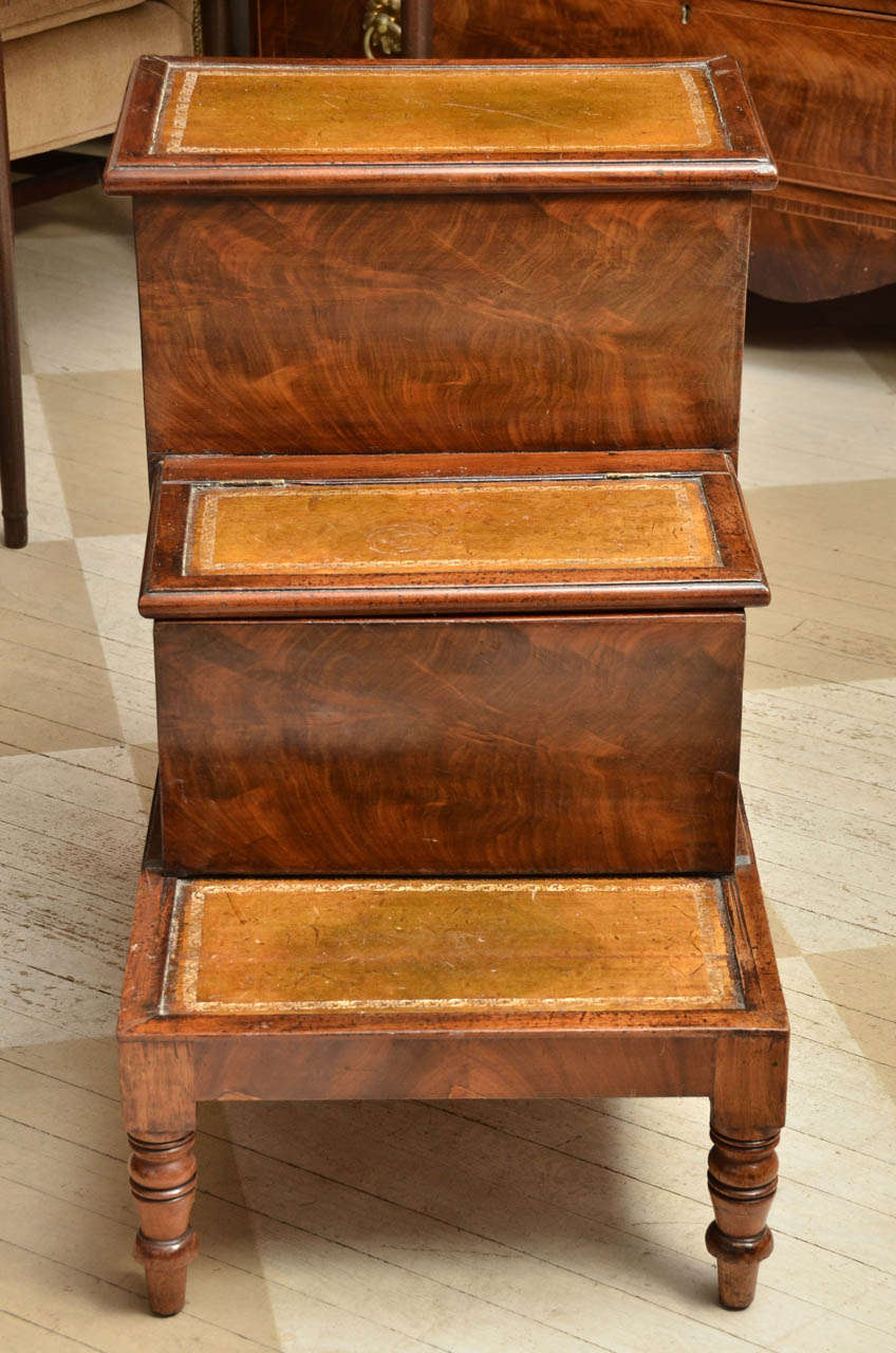 19th Century English Mahogany Library Steps For Sale at 1stDibs ...
