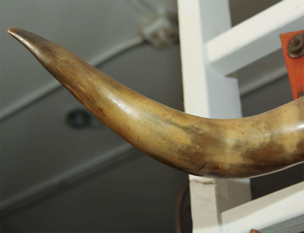 Large Victorian Folk Art Horn Rack at 1stDibs