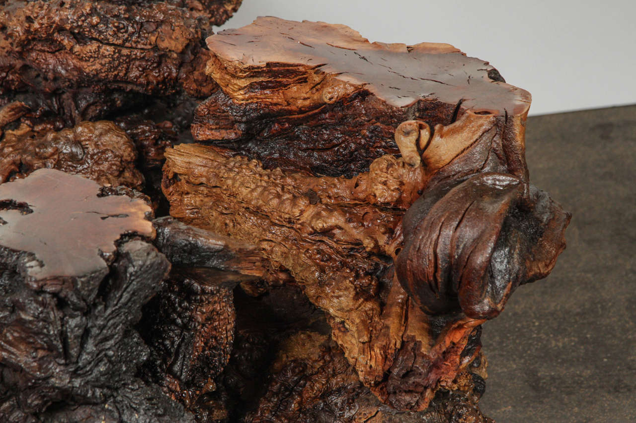 Burled Root Table Base For Sale at 1stDibs | tree root table bases ...