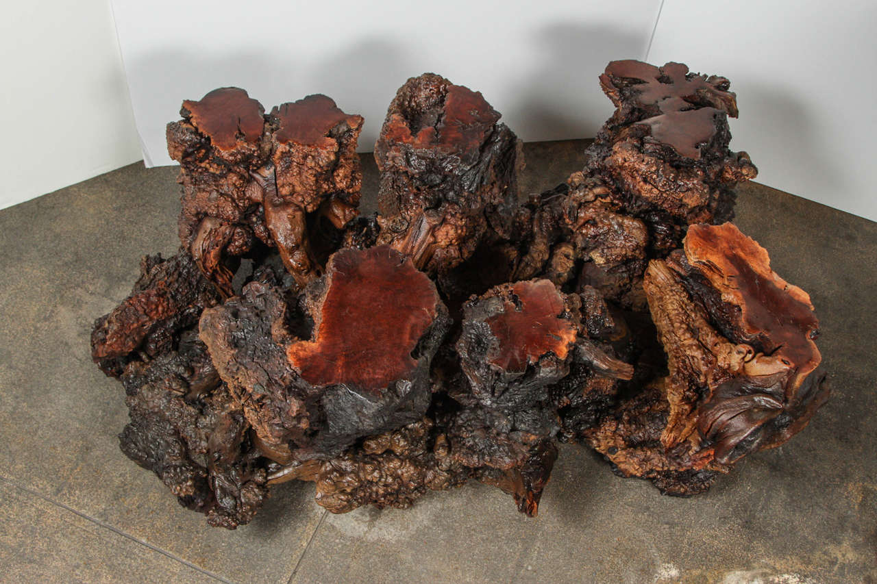Burled Root Table Base For Sale at 1stDibs | tree root table bases ...