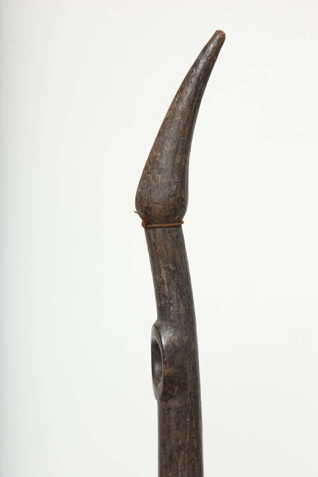 Senufo Trumpet Carved In Wood For Sale at 1stDibs