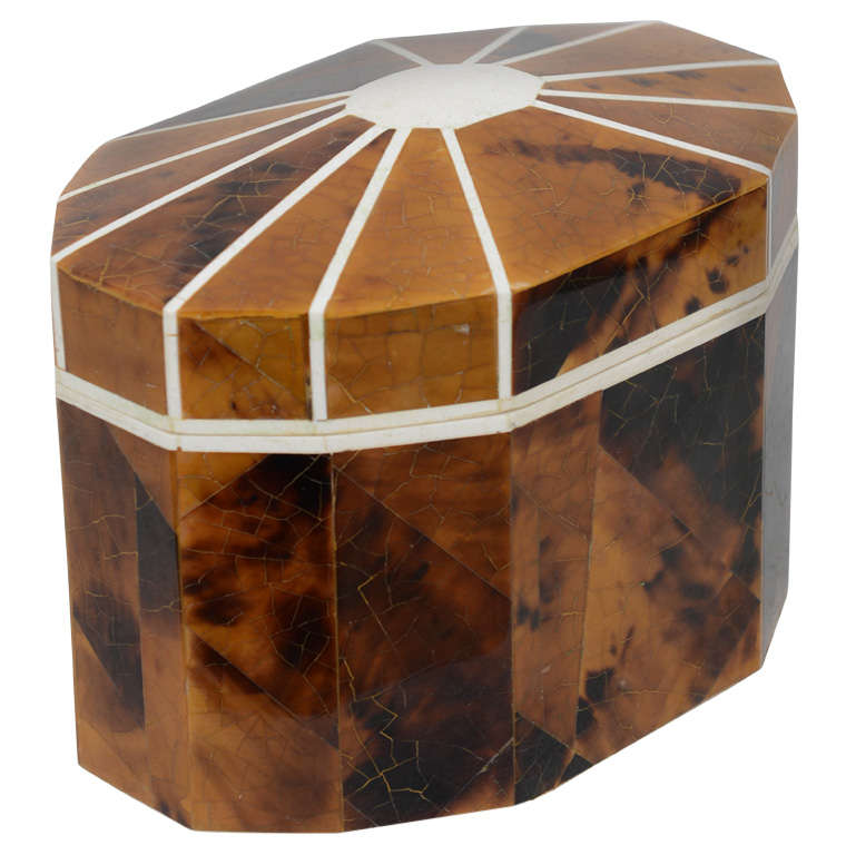 Coconut Shell and Bone Box at 1stDibs