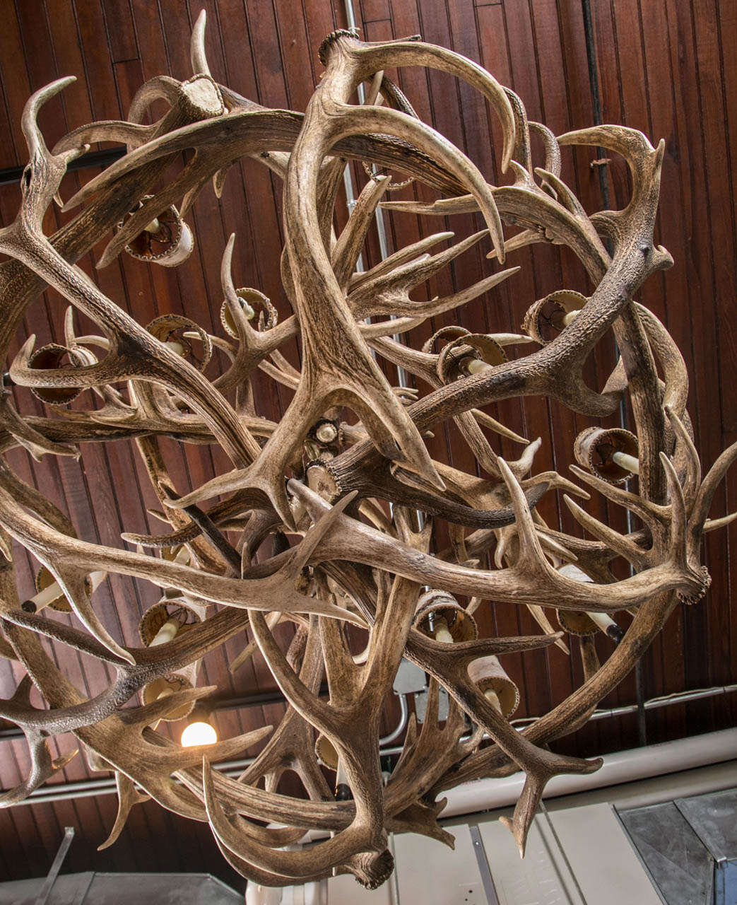 Eighteen Light Elk Antler Chandelier at 1stDibs