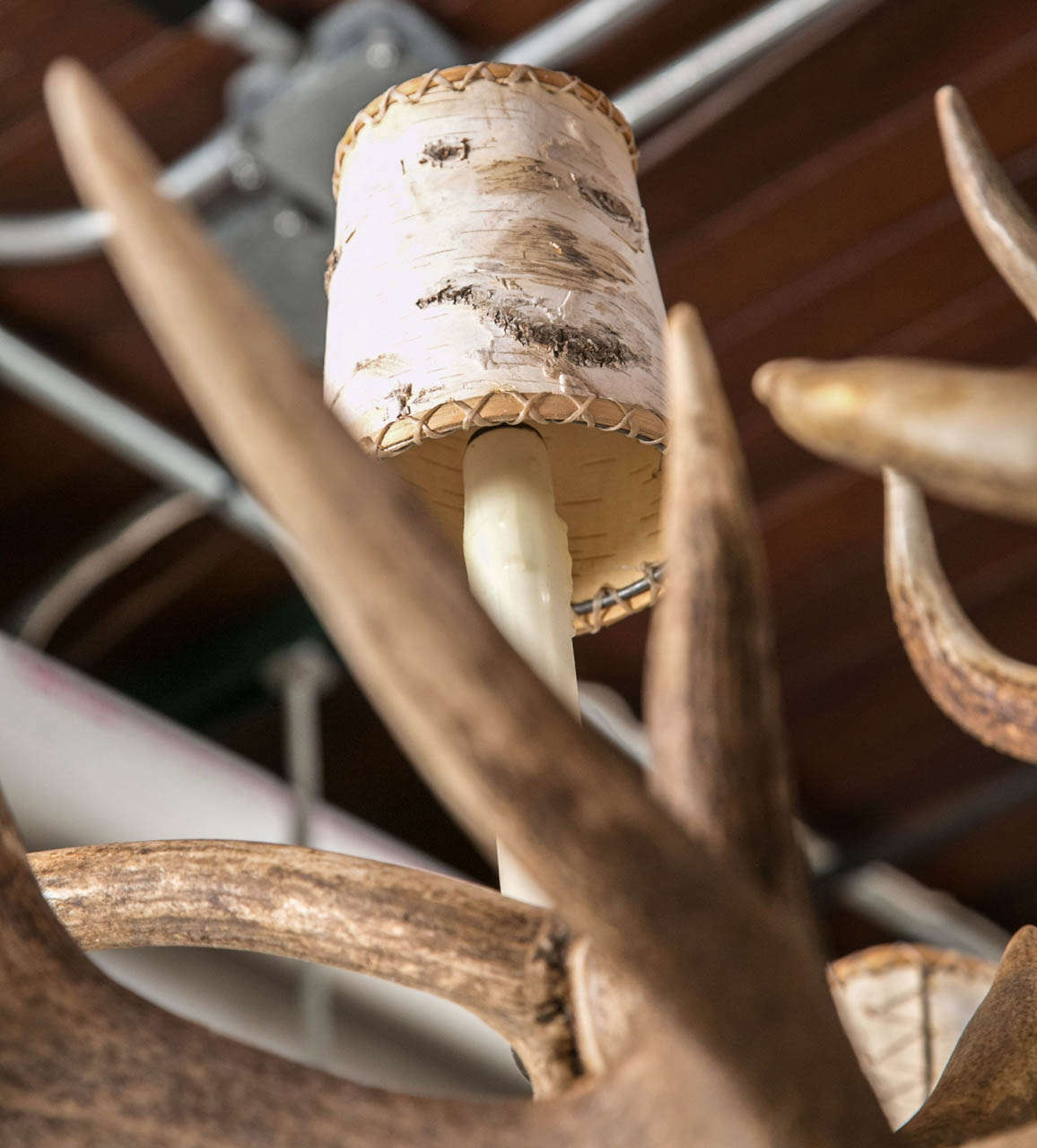 Eighteen Light Elk Antler Chandelier at 1stDibs