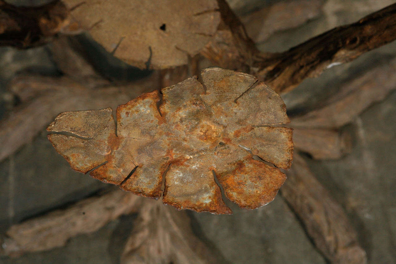 Tree Form Dining Table Base at 1stDibs | tree base dining table, tree ...