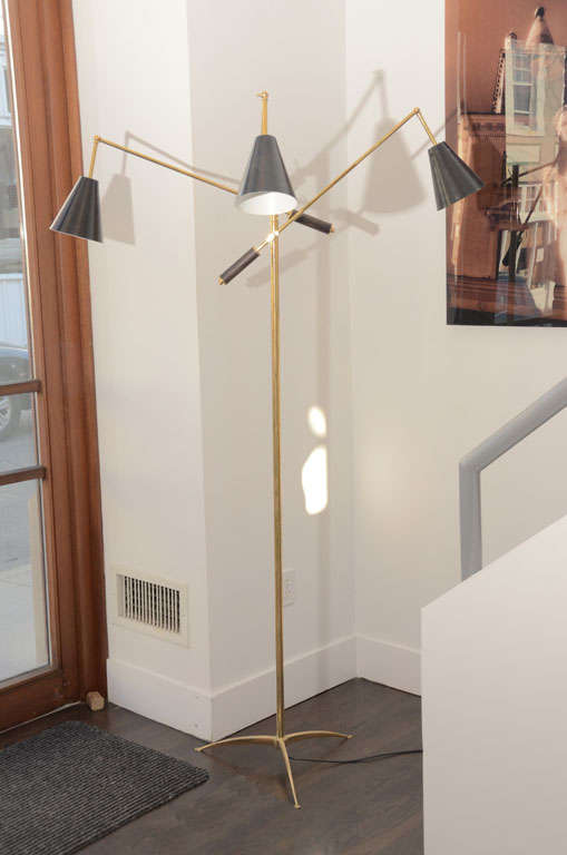 Italian Multi Arms Floor Lamp by Stilnovo at 1stDibs