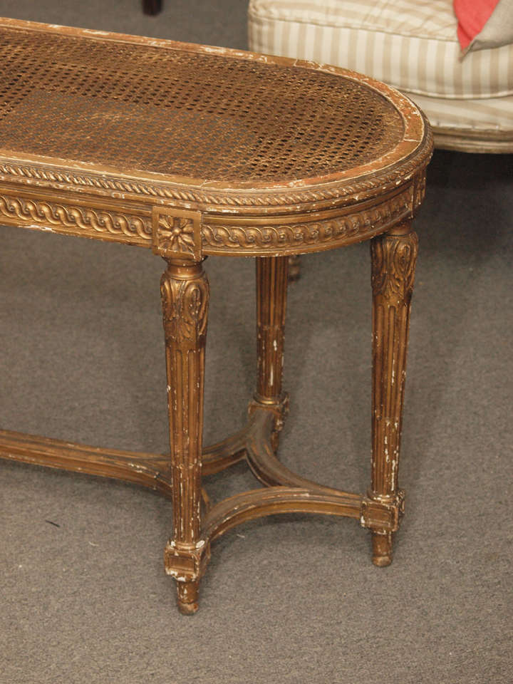 Louis XVI Style Cane Bench For Sale at 1stDibs