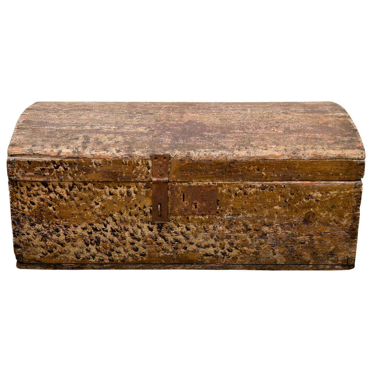 American Primitive Painted Leopard Pattern Domed Top Trunk For Sale at ...